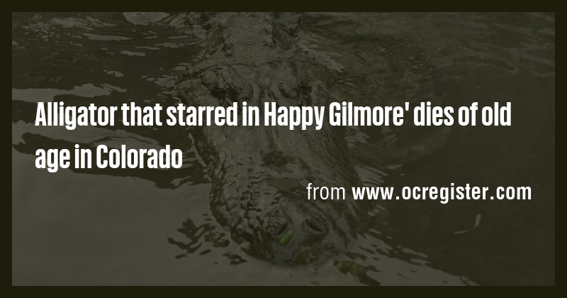 Alligator that starred in Happy Gilmore' dies of old age in Colorado ...