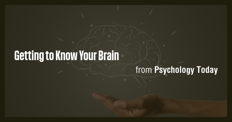 Getting to Know Your Brain - Briefly