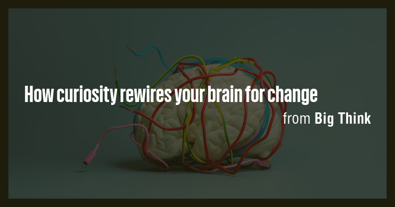 How curiosity rewires your brain for change - Briefly