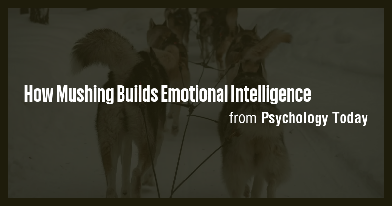 How Mushing Builds Emotional Intelligence - Briefly