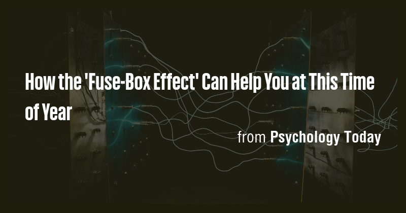 How the 'Fuse-Box Effect' Can Help You at This Time of Year - Briefly
