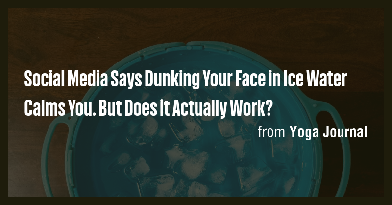 Social Media Says Dunking Your Face in Ice Water Calms You. But Does it ...
