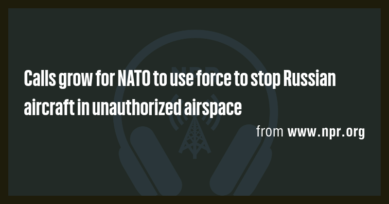 Calls grow for NATO to use force to stop Russian aircraft in ...