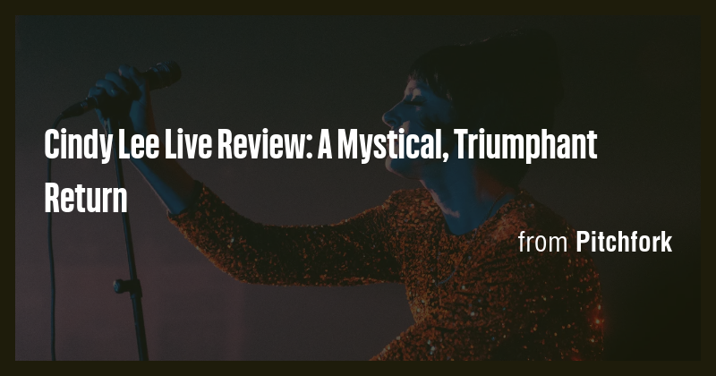 Cindy Lee Live Review: A Mystical, Triumphant Return - Briefly