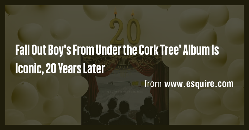 Fall Out Boy's From Under the Cork Tree' Album Is Iconic, 20 Years ...