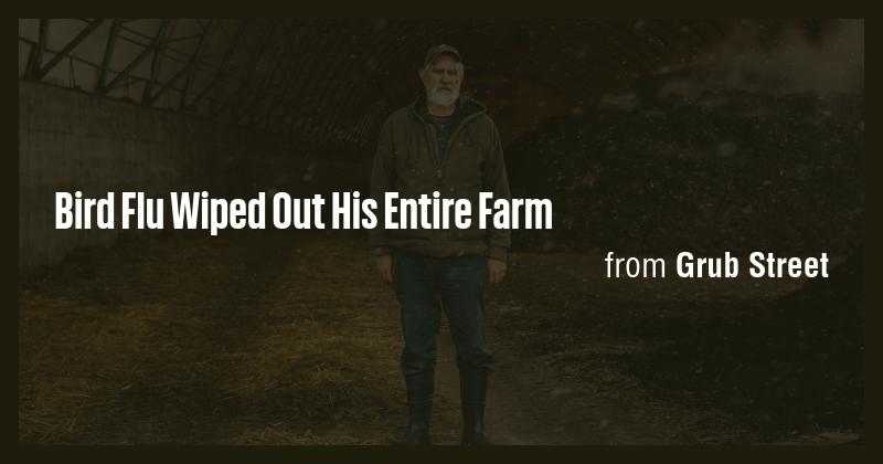 Bird Flu Wiped Out His Entire Farm - Briefly