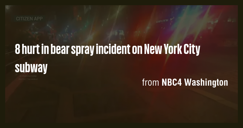 8 hurt in bear spray incident on New York City subway - Briefly