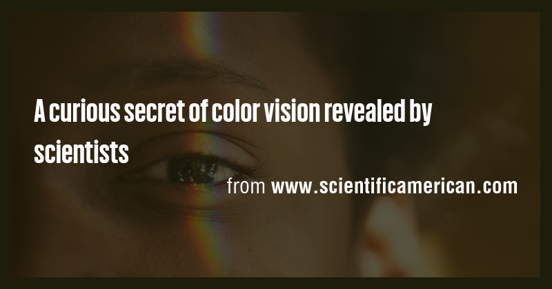 A curious secret of color vision revealed by scientists - Briefly