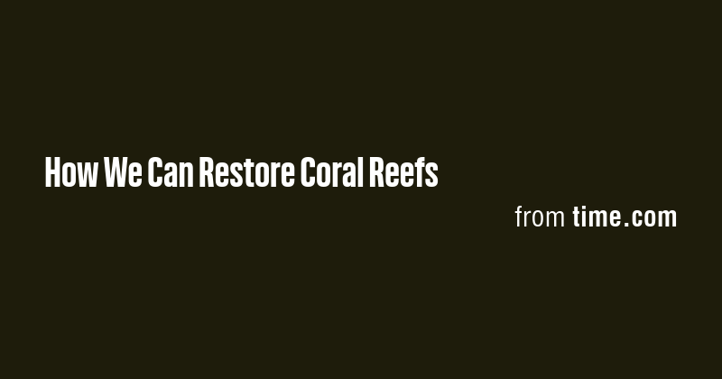 How We Can Restore Coral Reefs - Briefly