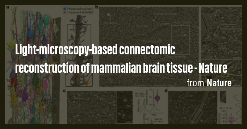 Light-microscopy-based connectomic reconstruction of mammalian brain ...