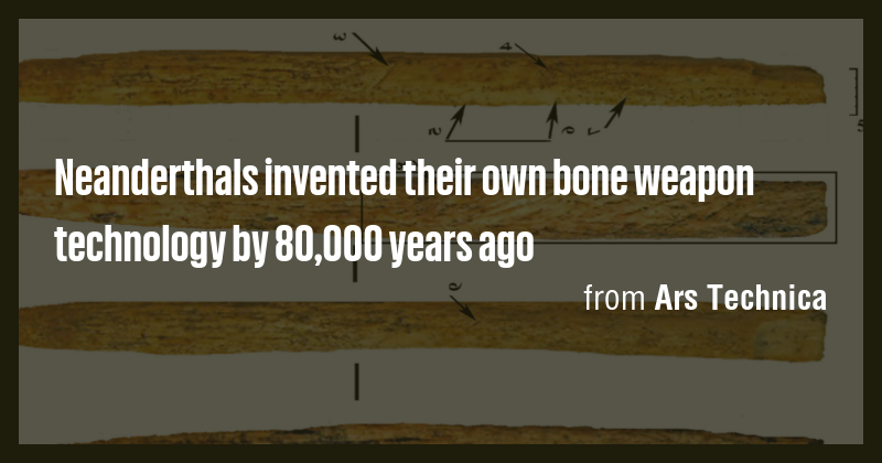 Neanderthals invented their own bone weapon technology by 80,000 years ...