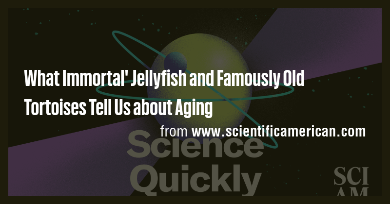 What Immortal' Jellyfish and Famously Old Tortoises Tell Us about Aging ...