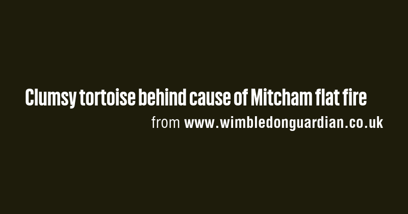 Clumsy tortoise behind cause of Mitcham flat fire - Briefly