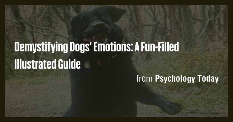 Demystifying Dogs' Emotions: A Fun-Filled Illustrated Guide - Briefly
