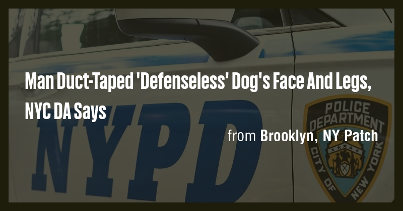 Man Duct-Taped 'Defenseless' Dog's Face And Legs, NYC DA Says - Briefly