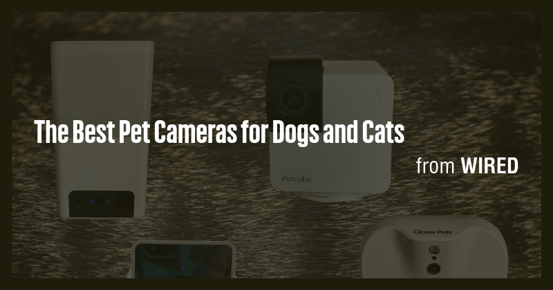 The Best Pet Cameras for Dogs and Cats - Briefly