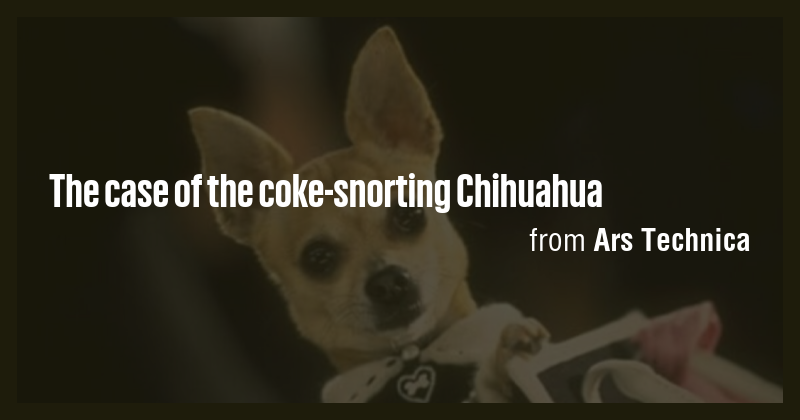 The case of the coke-snorting Chihuahua - Briefly