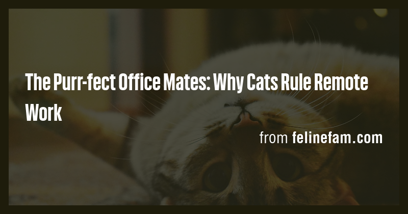 The Purr-fect Office Mates: Why Cats Rule Remote Work - Briefly
