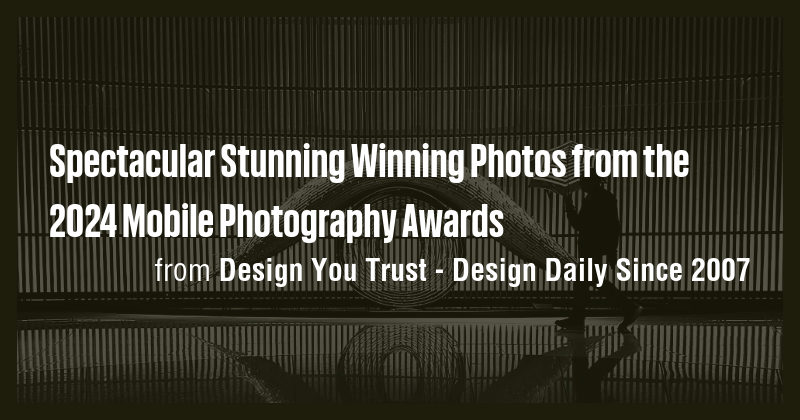 Spectacular Stunning Winning Photos from the 2024 Mobile Photography ...
