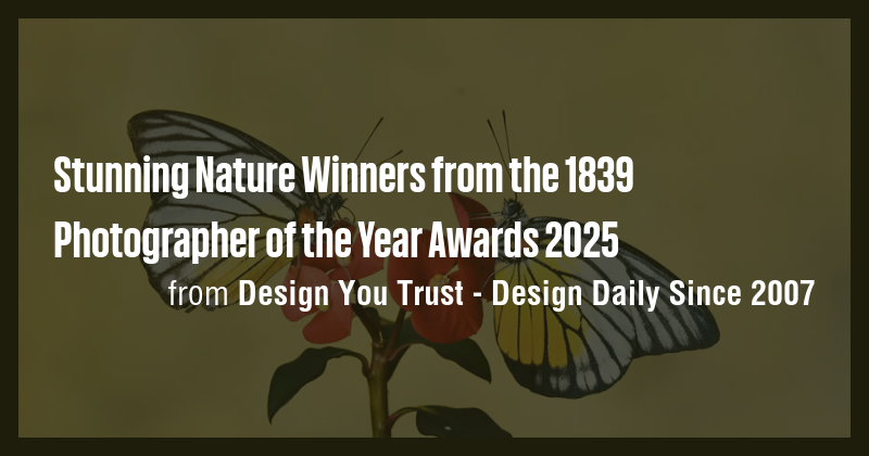 Stunning Nature Winners from the 1839 Photographer of the Year Awards ...