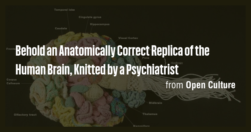Behold an Anatomically Correct Replica of the Human Brain, Knitted by a ...