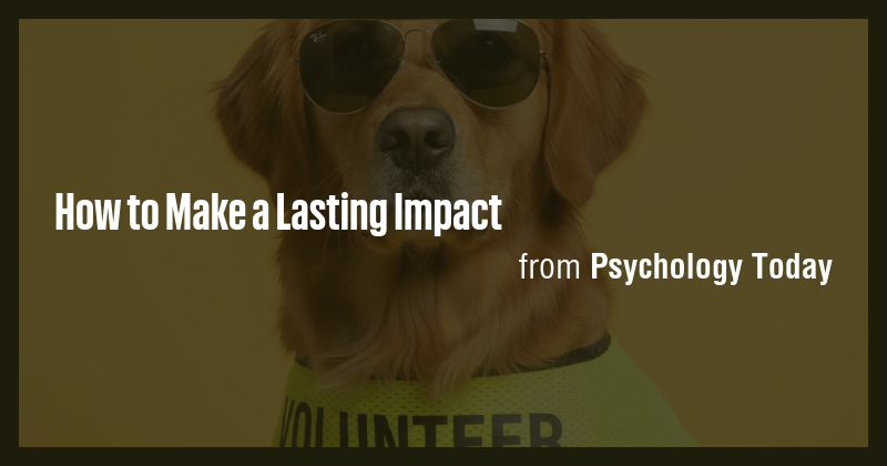 How to Make a Lasting Impact - Briefly