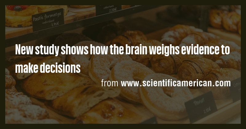 New study shows how the brain weighs evidence to make decisions - Briefly