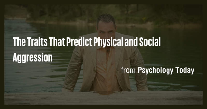 The Traits That Predict Physical and Social Aggression - Briefly