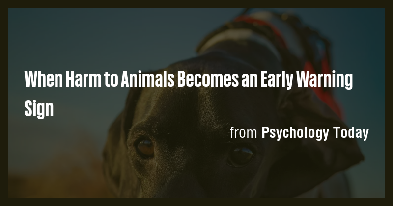 When Harm to Animals Becomes an Early Warning Sign - Briefly