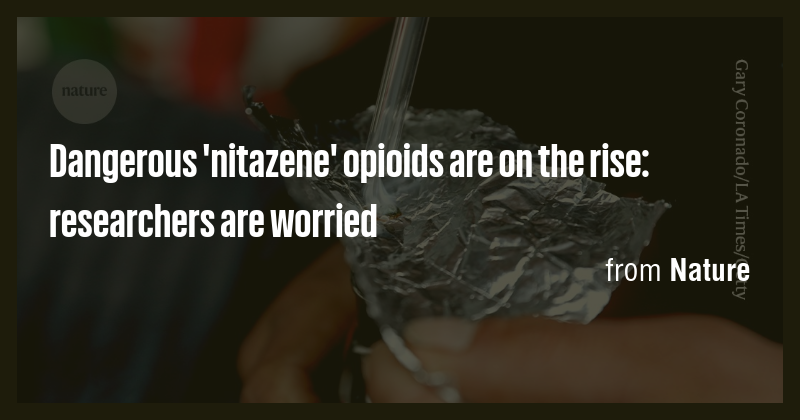 Dangerous 'nitazene' opioids are on the rise: researchers are worried ...