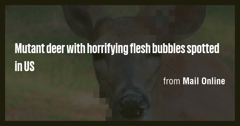 Mutant deer with horrifying flesh bubbles spotted in US - Briefly