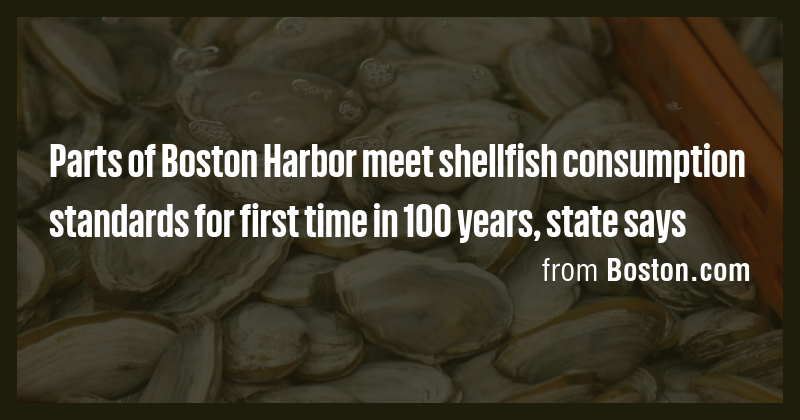 Parts of Boston Harbor meet shellfish consumption standards for first ...