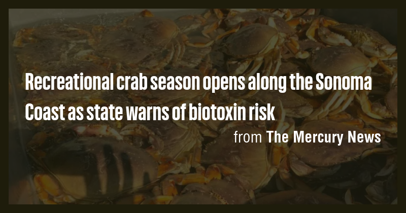 Recreational crab season opens along the Sonoma Coast as state warns of ...