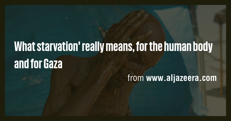 What starvation' really means, for the human body and for Gaza - Briefly