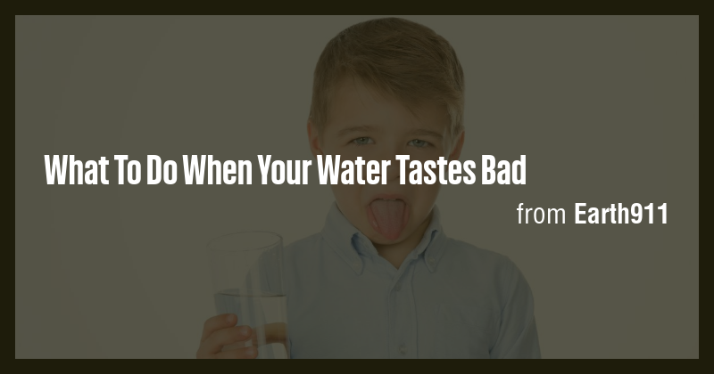 What To Do When Your Water Tastes Bad - Briefly