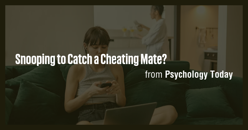 Snooping to Catch a Cheating Mate? - Briefly