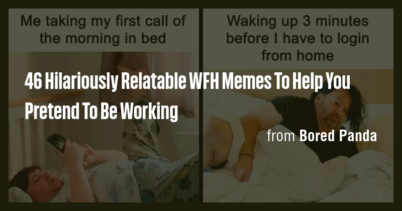 46 Hilariously Relatable WFH Memes To Help You Pretend To Be Working ...