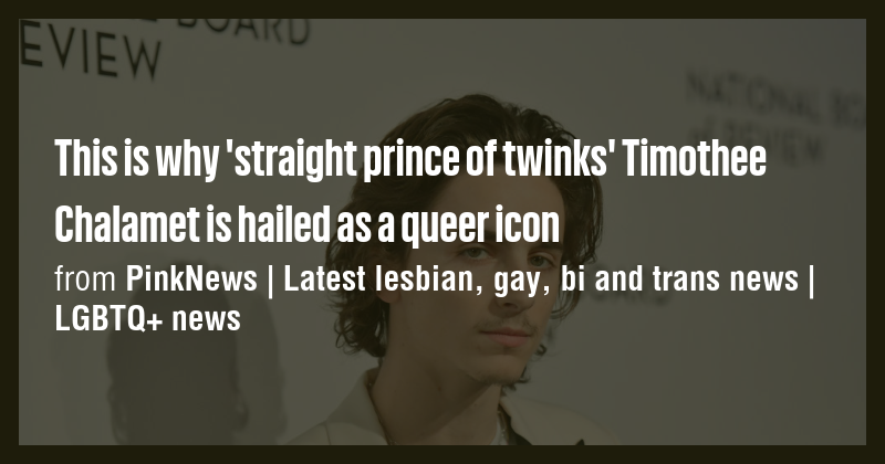 This is why 'straight prince of twinks' Timothee Chalamet is hailed as ...