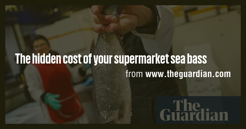 The hidden cost of your supermarket sea bass - Briefly