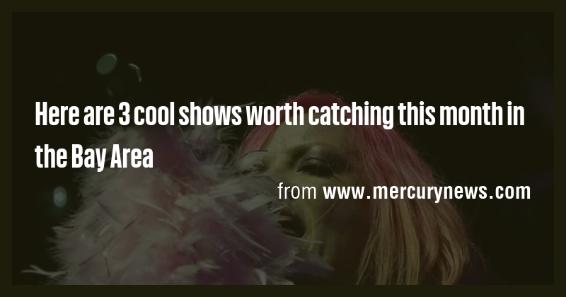 Here are 3 cool shows worth catching this month in the Bay Area - Briefly