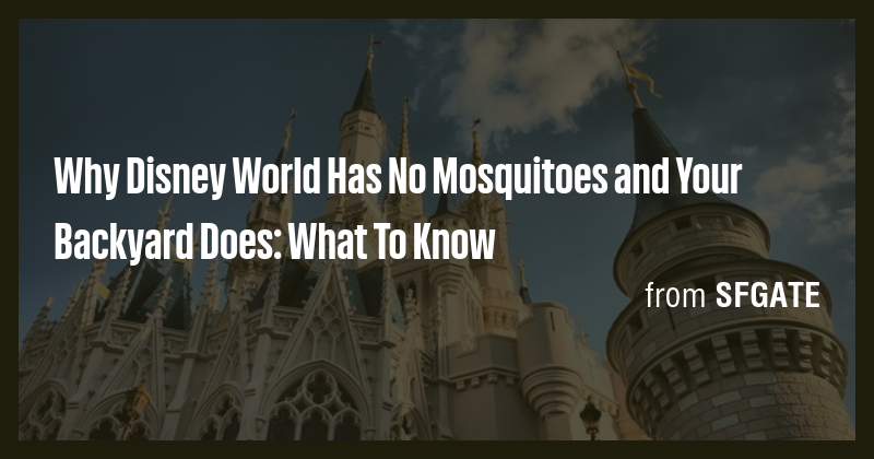 Why Disney World Has No Mosquitoes and Your Backyard Does: What To Know ...