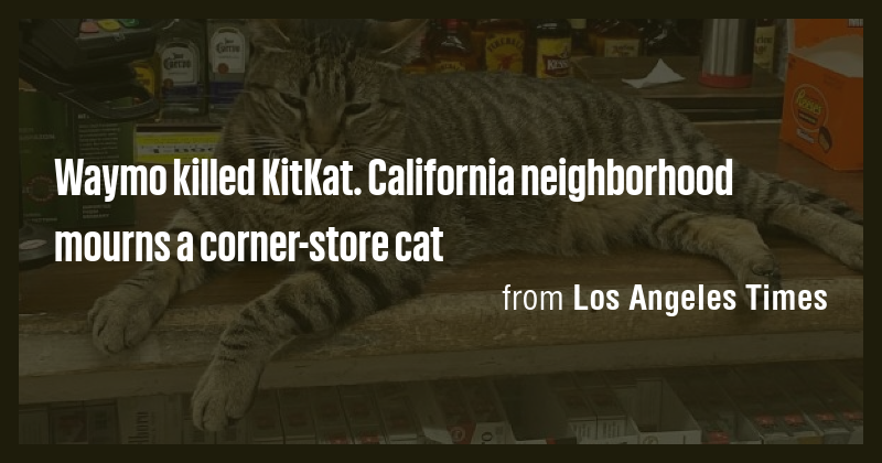 Waymo killed KitKat. California neighborhood mourns a corner-store cat ...