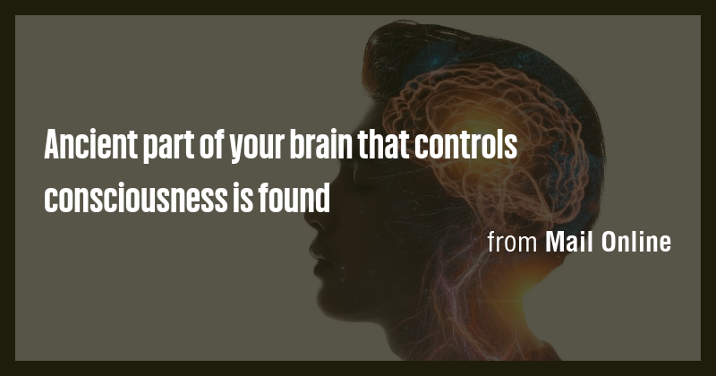 Ancient part of your brain that controls consciousness is found - Briefly