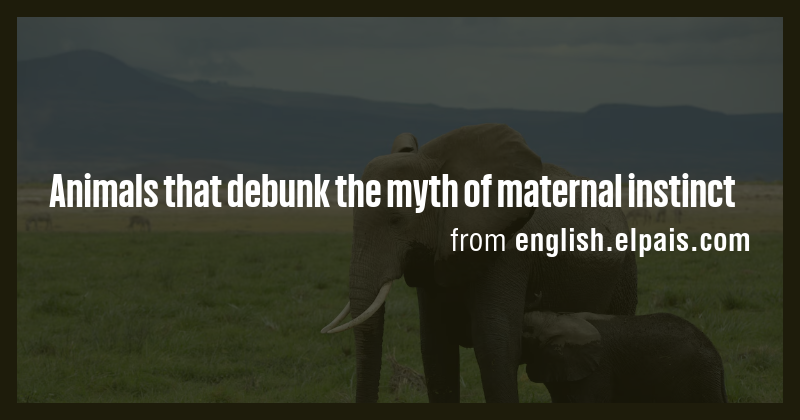 Animals that debunk the myth of maternal instinct - Briefly