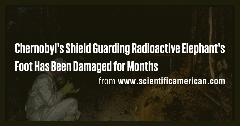 Chernobyl's Shield Guarding Radioactive Elephant's Foot Has Been ...