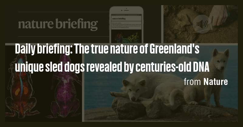Daily briefing: The true nature of Greenland's unique sled dogs ...