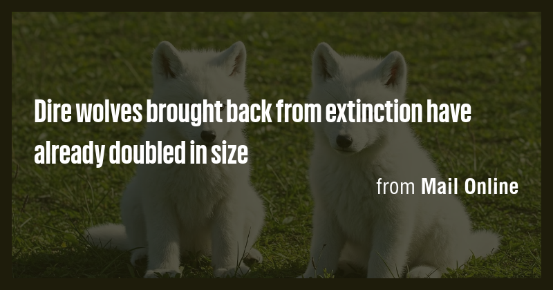 Dire wolves brought back from extinction have already doubled in size ...