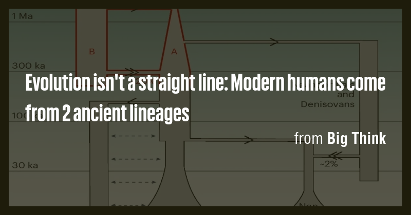 Evolution isn't a straight line: Modern humans come from 2 ancient ...