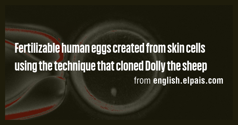 Fertilizable human eggs created from skin cells using the technique ...