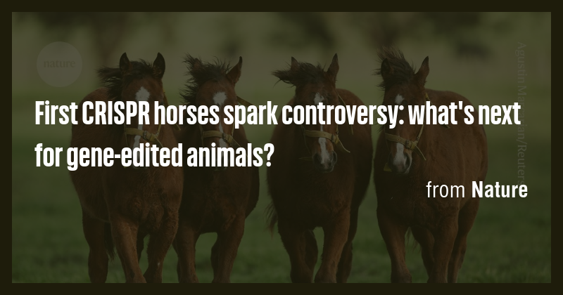 First CRISPR horses spark controversy: what's next for gene-edited ...